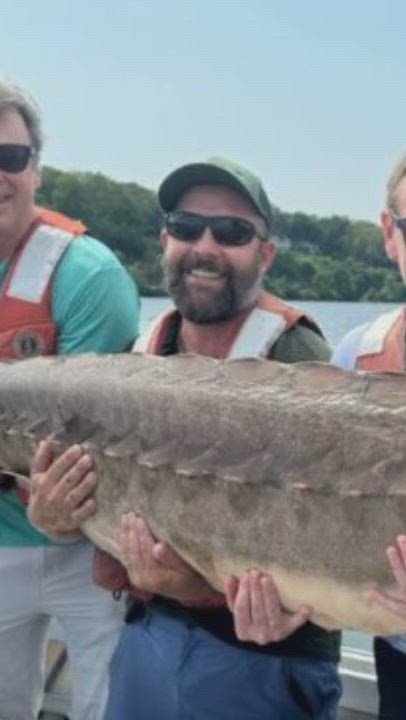 Archer Sends Arrows Flying at Impressive Speed - Wide Open Spaces